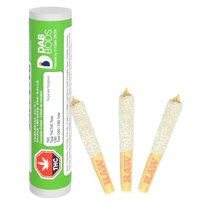 Dab Bods - PEARadise 50's+ 3 x 0.5g Triple Infused Pre-Rolls by Dab ...